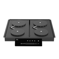 Invisacook Invisible Induction cooktop - Cook through your counter top